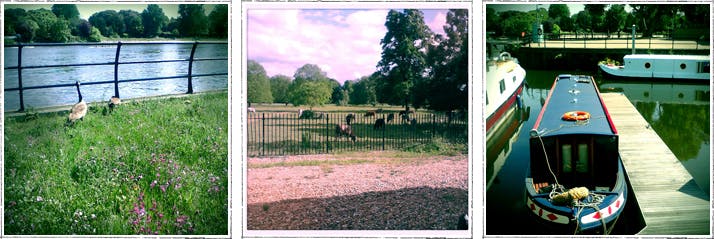 world sauntering day – teapigs